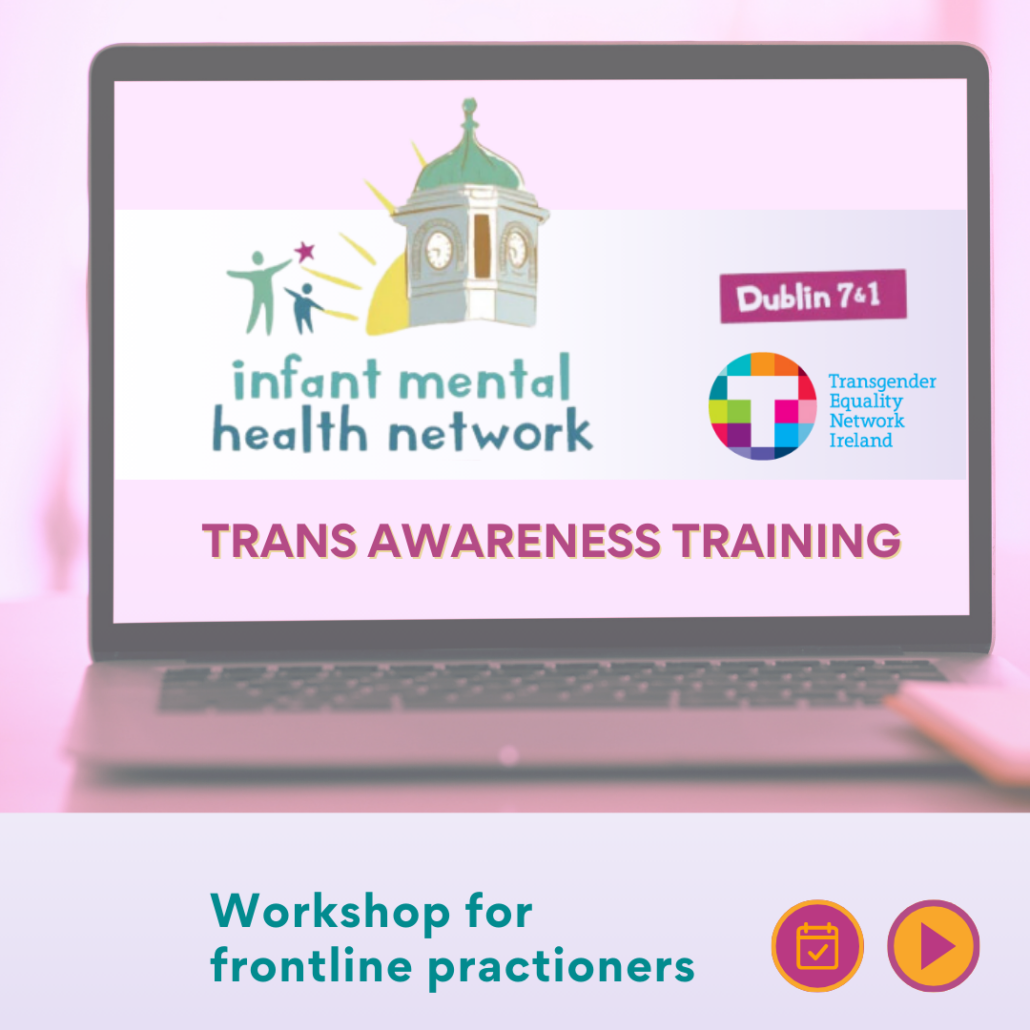 Infant Mental Health Training Network – One Family Ireland